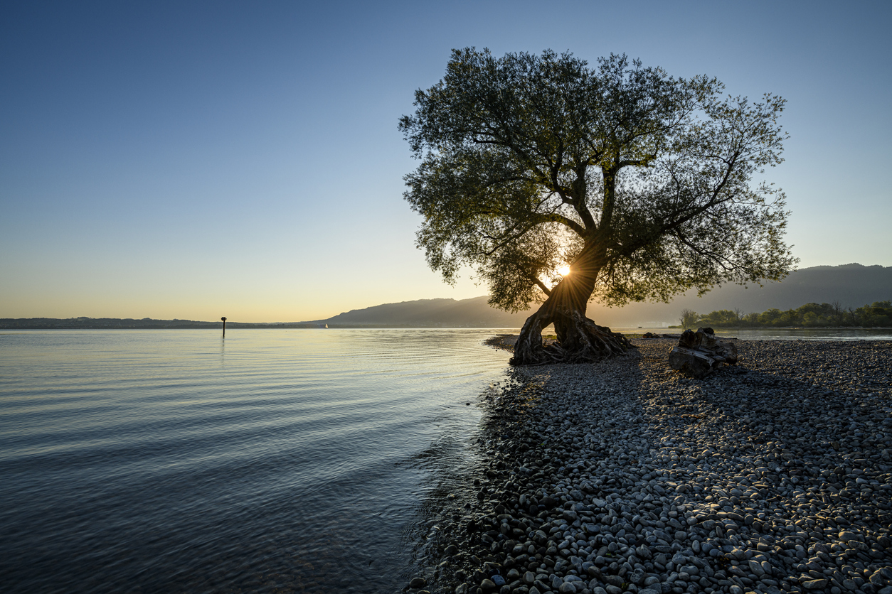 When Should You Consider a Trust? Key Moments to Start Your Estate Plan ...
